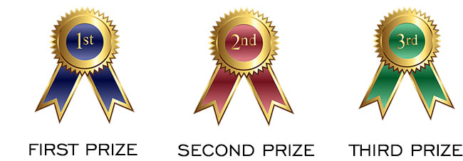 SSLC Results – 2017 – salem_cluny